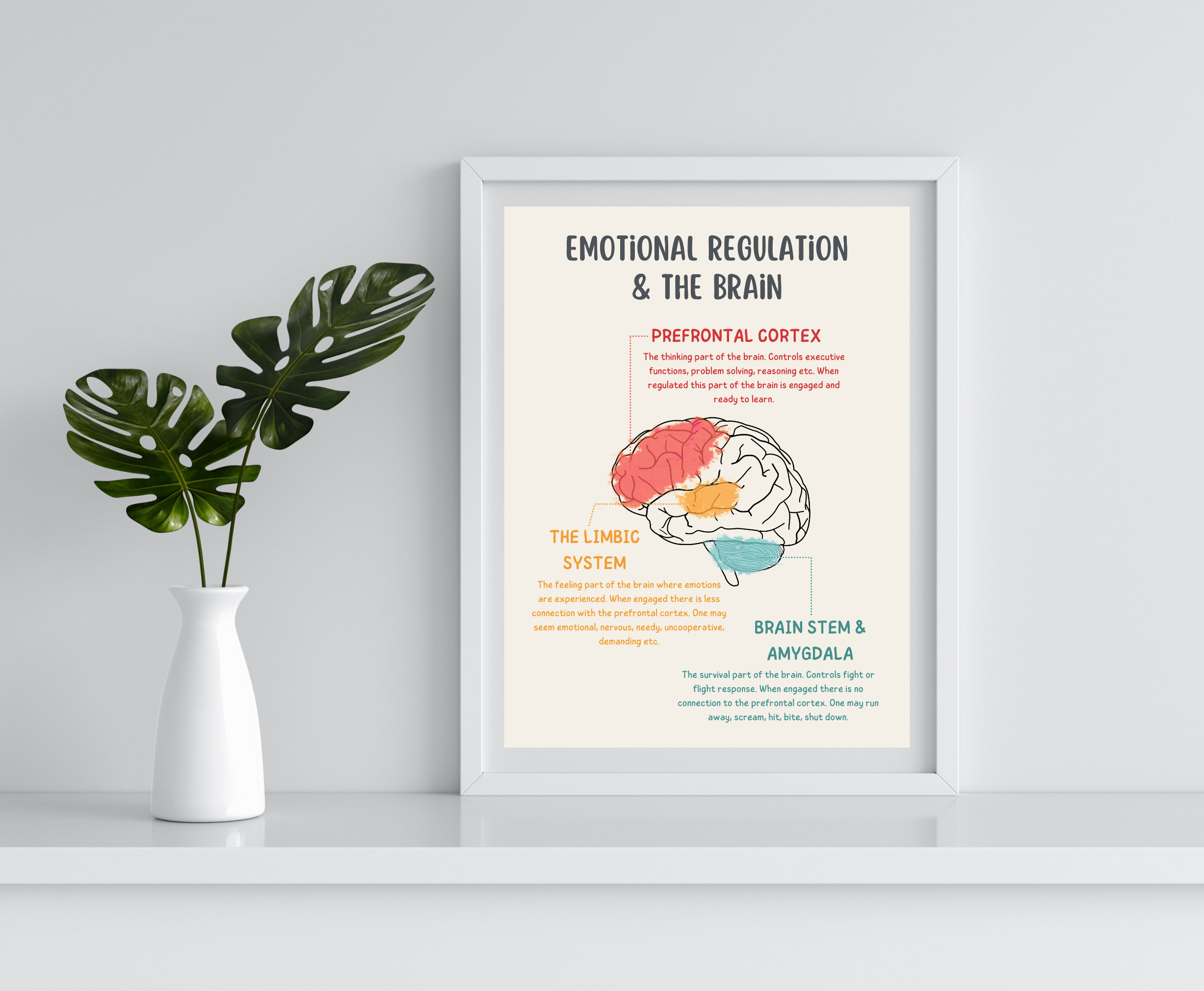 EMOTIONAL REGULATION & the BRAIN, Printable Poster, Brain Anatomy and ...