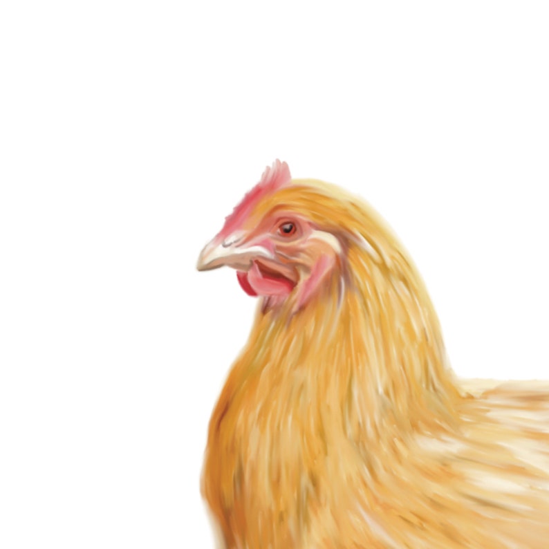 Buff Orpington Printable Artwork, Chicken Decor, Farmhouse Animal Art ...