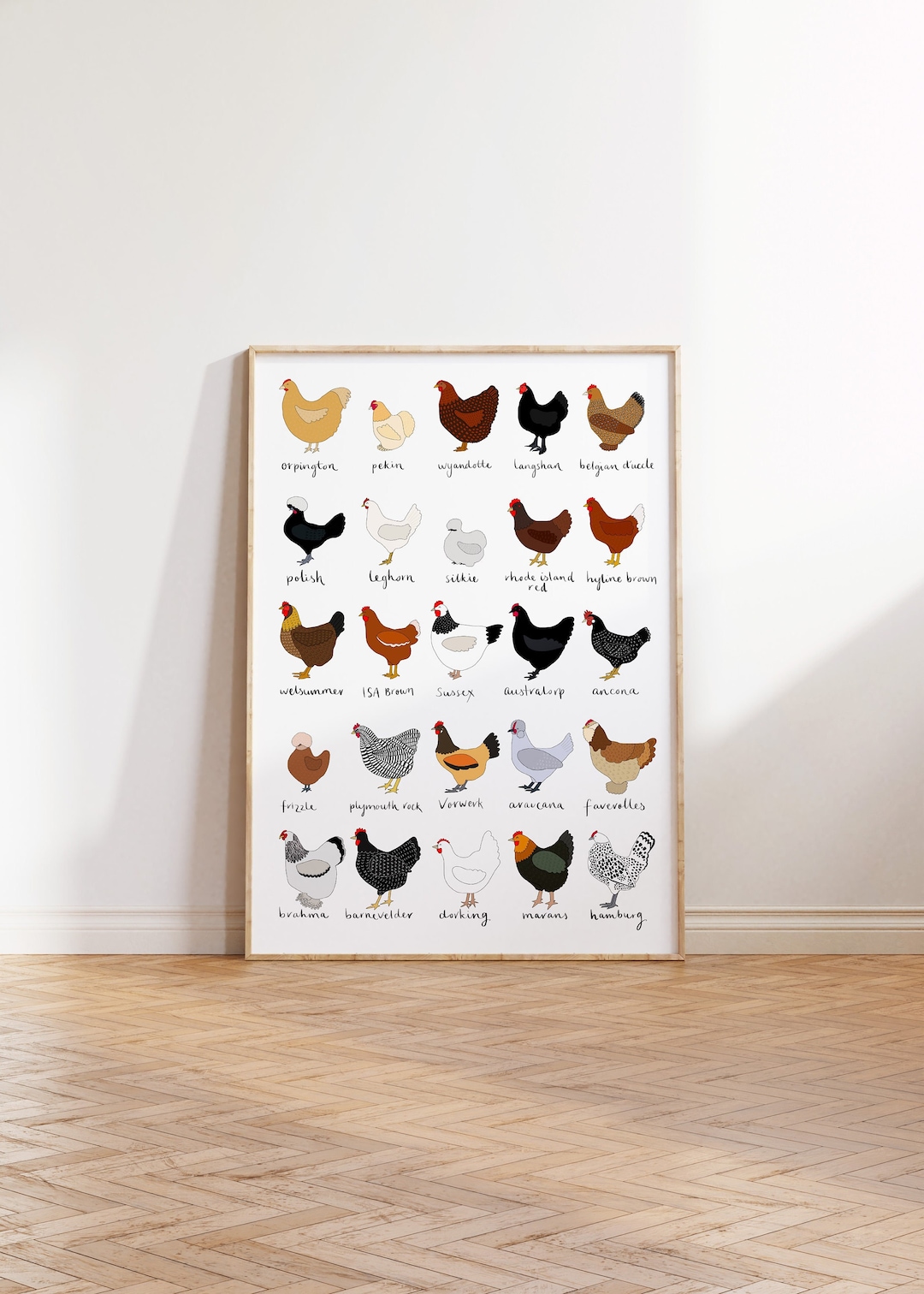 Chicken Breed Chart, Chicken Wall Art, Chicken Types Chart, Chicken ...
