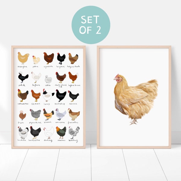 Poultry Breeds - Etsy