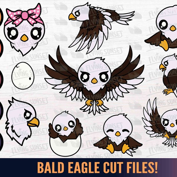 Baby Eagle Card - Etsy