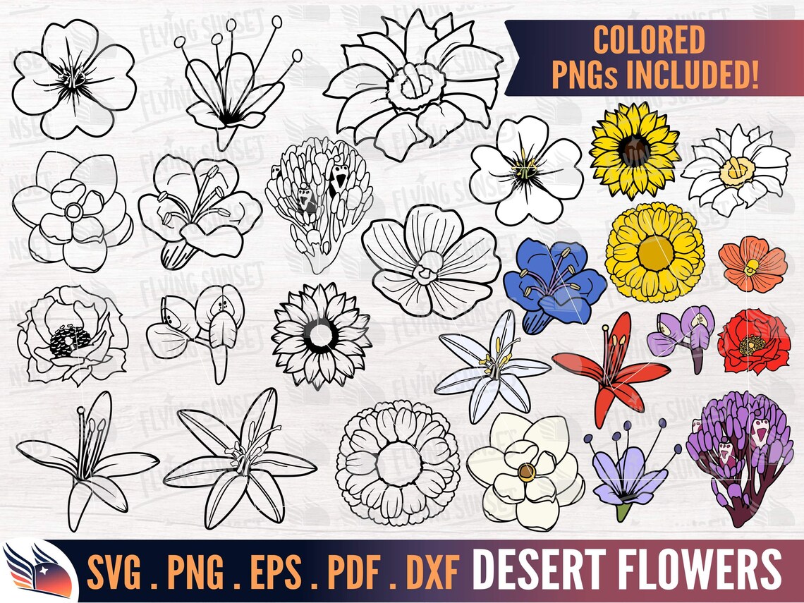 Desert Flower SVG PNG Wildflower Outline Arizona Flora - Etsy