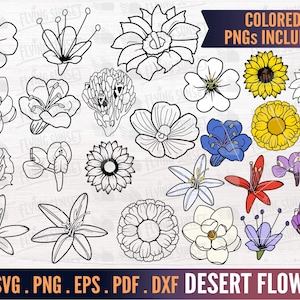 Desert Flower SVG PNG, Wildflower Outline, Arizona Flora Coloring Page ...