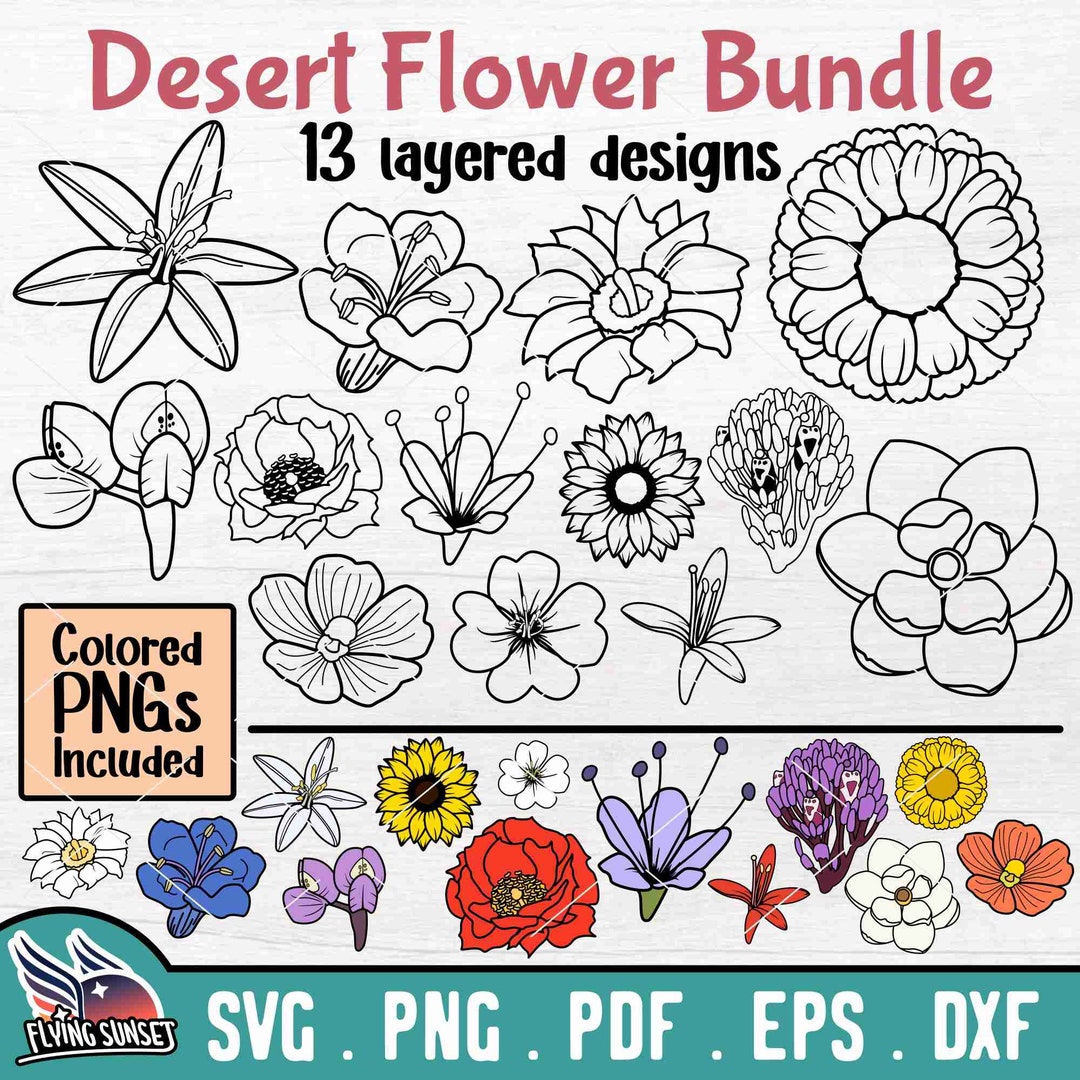 Desert Flower SVG PNG, Wildflower Outline, Arizona Flora Coloring Page ...