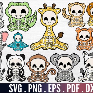 Animal Skeleton SVG PNG, Layered Safari Animal Cut File Clipart, Zoo ...