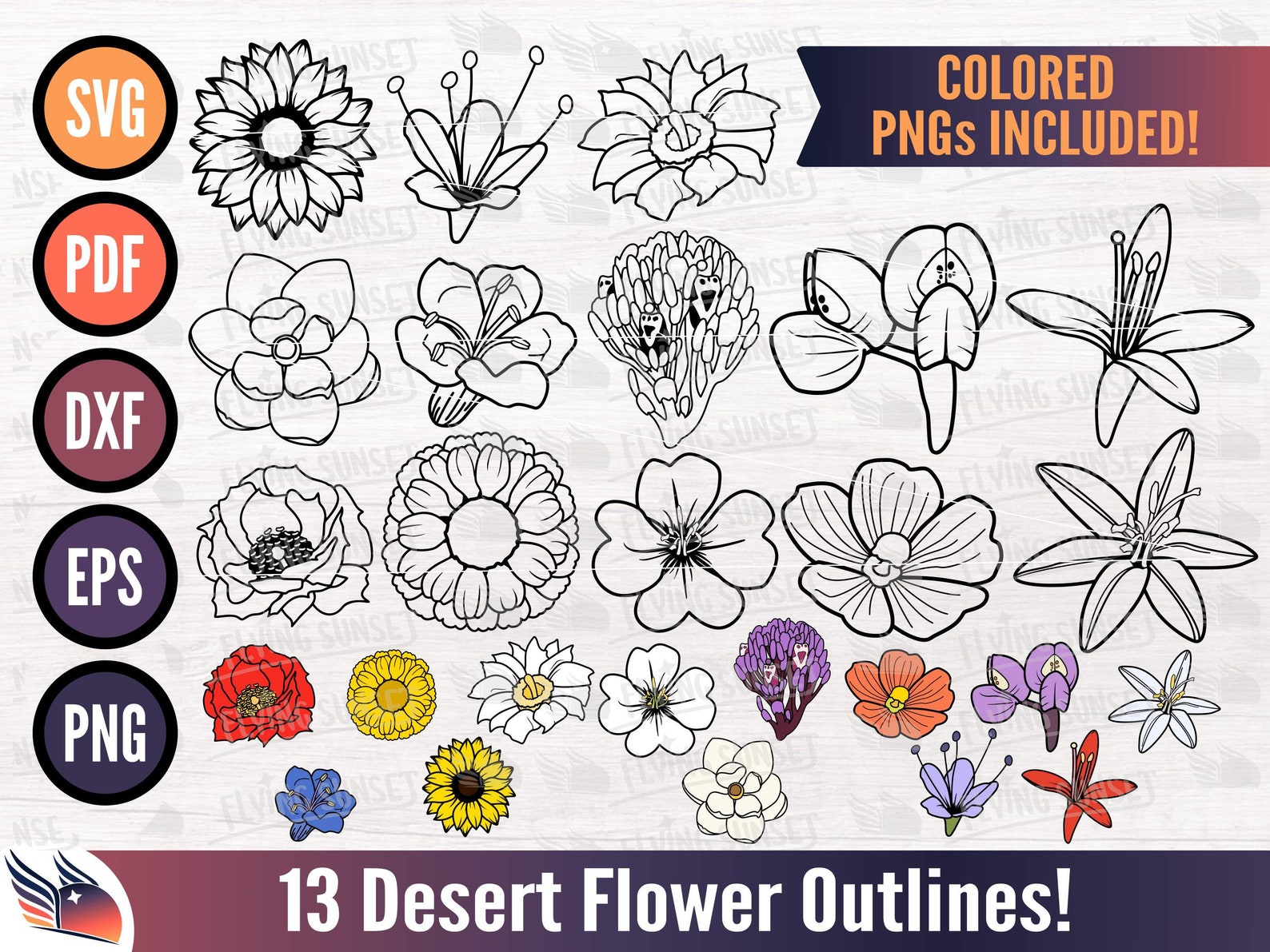 Desert Flower SVG PNG, Wildflower Outline, Arizona Flora Coloring Page ...