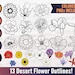 Desert Flower SVG PNG, Wildflower Outline, Arizona Flora Coloring Page ...