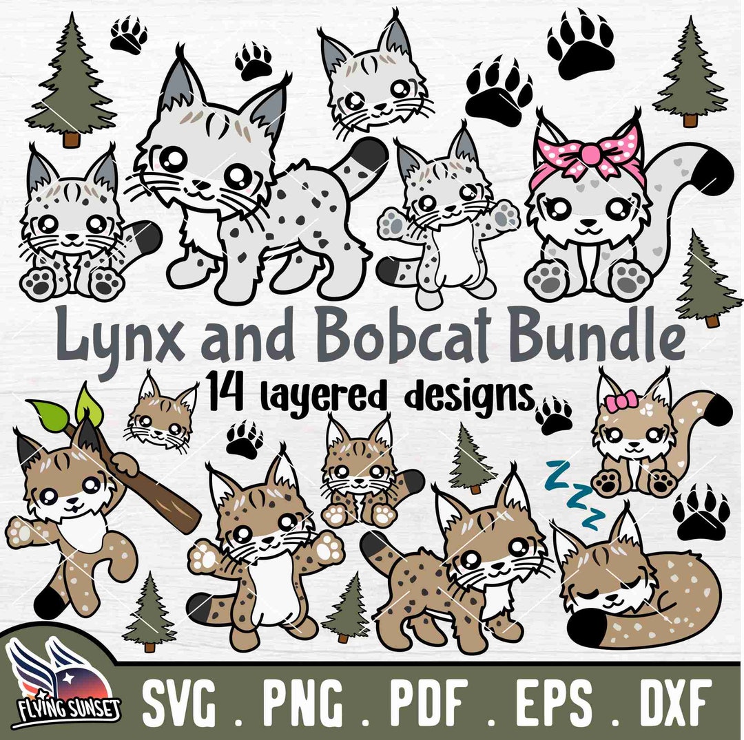 Cute Lynx SVG PNG, Baby Bobcat Clipart, Kawaii Winter Woodland Animal ...