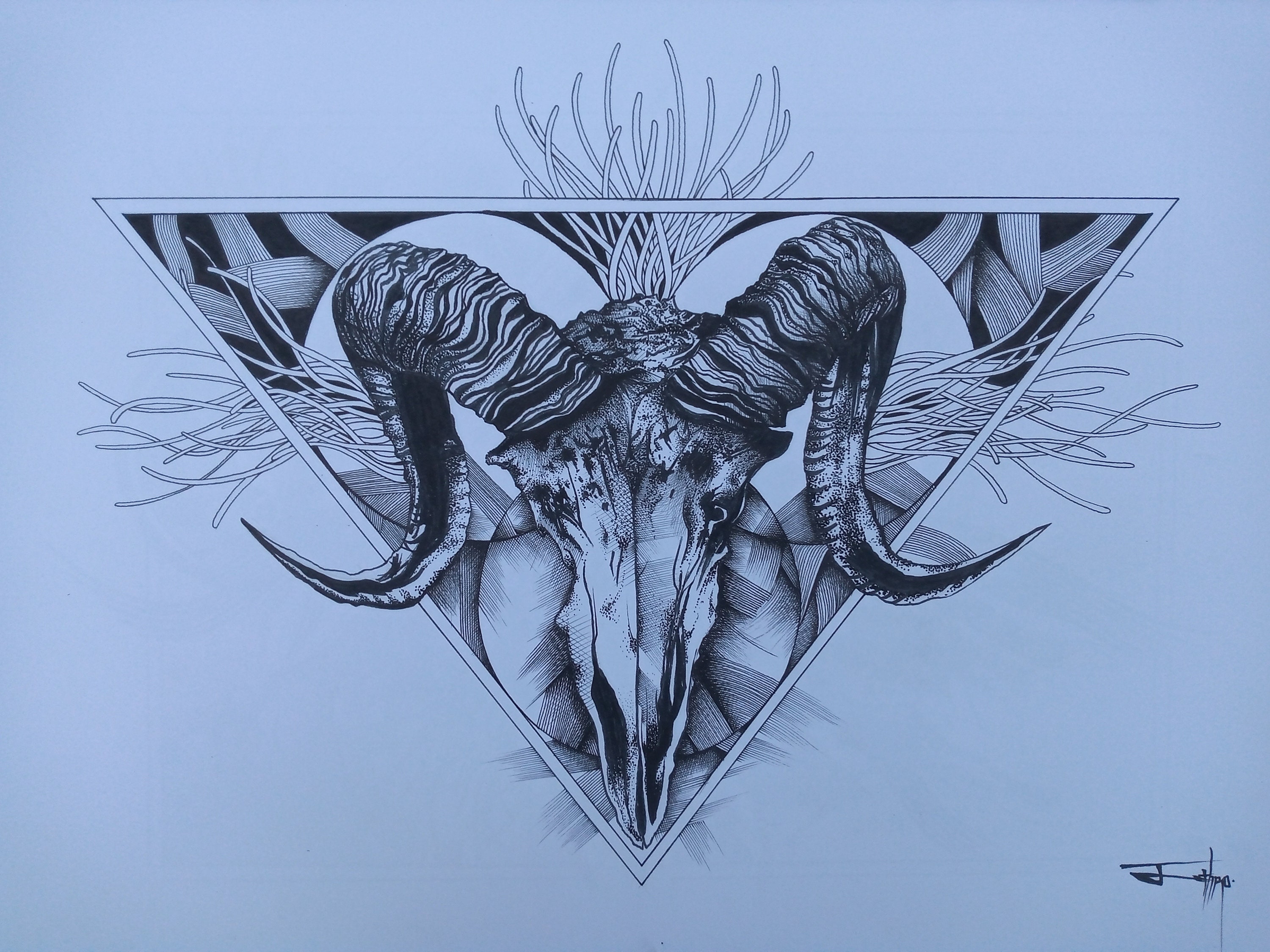 Ram Head Skull Tattoo