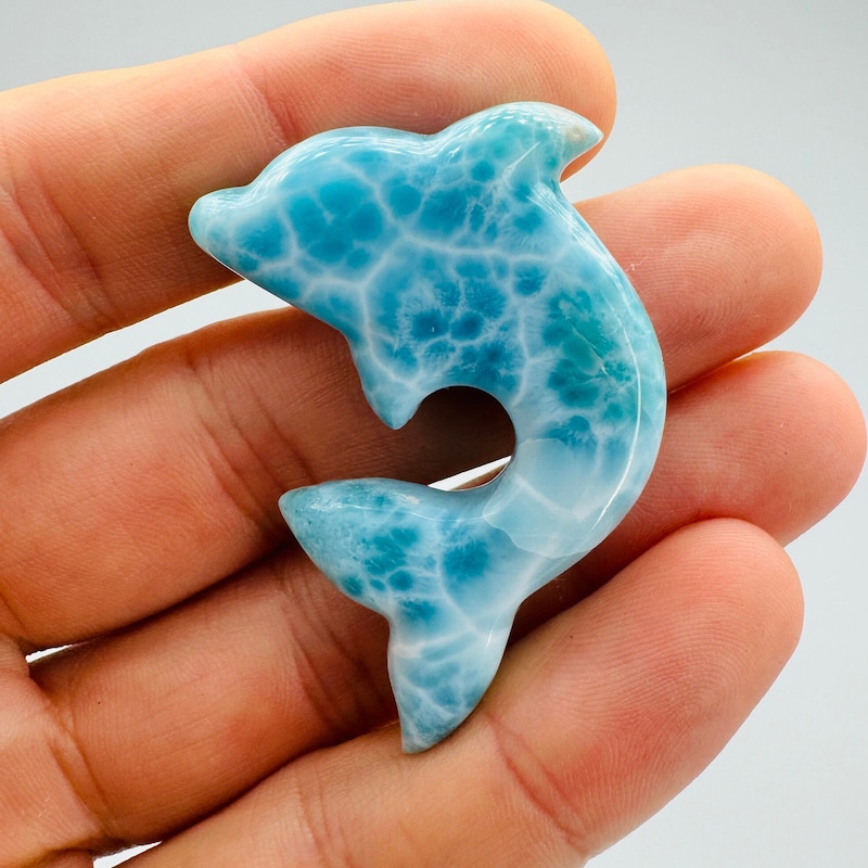 Dolphin Stone - Etsy