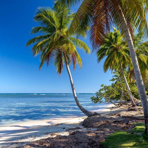 Caribbean Backdrop - Etsy