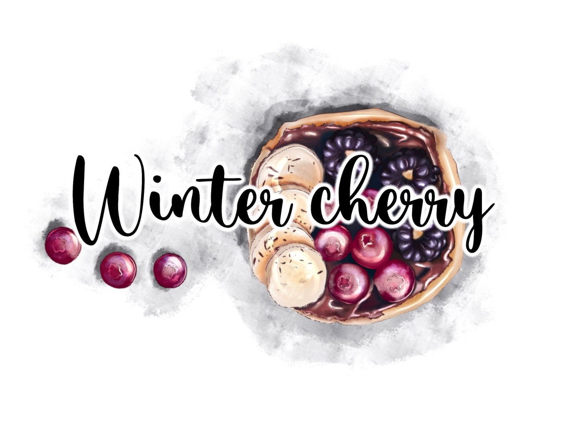 Christmas Procreate Color Palette Bundle Ipad Procreate - Etsy