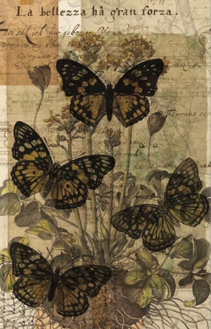 30-60 physical Nature Aesthetic Collage Earthy Black Girl Photo ...