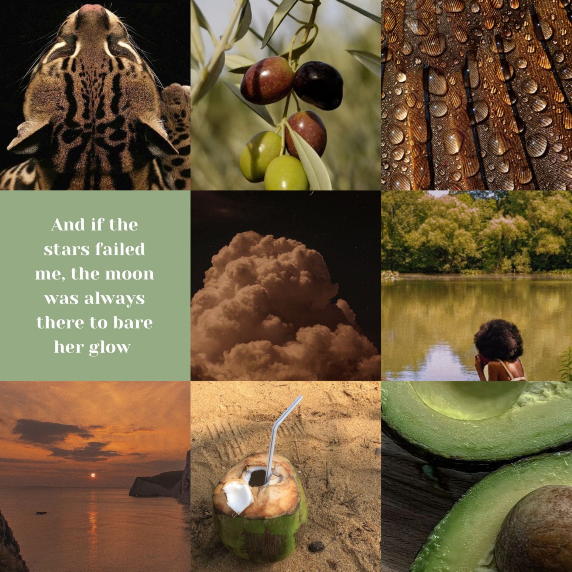 30-60 physical Nature Aesthetic Collage Earthy Black Girl Photo ...