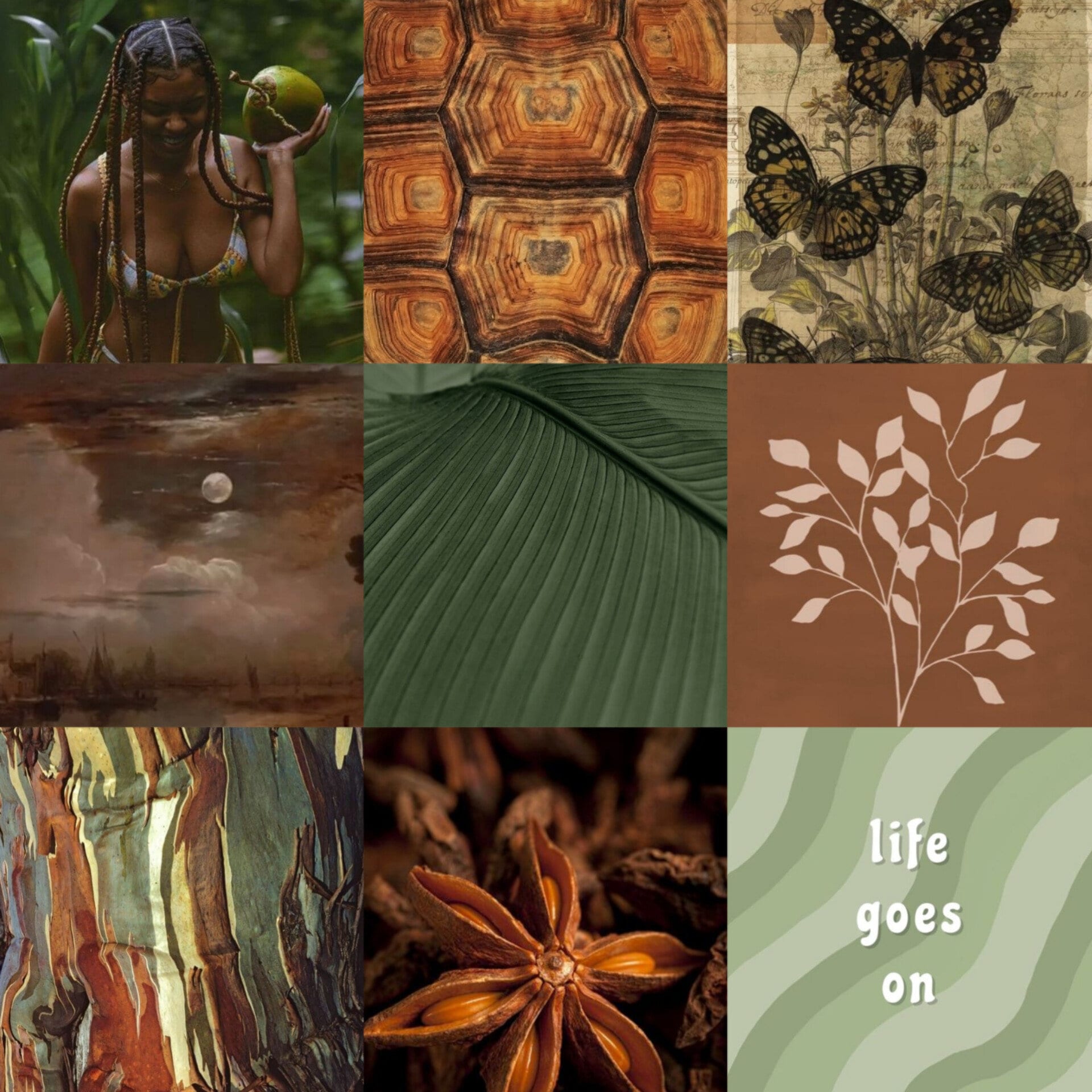 30-60 physical Nature Aesthetic Collage Earthy Black Girl Photo ...