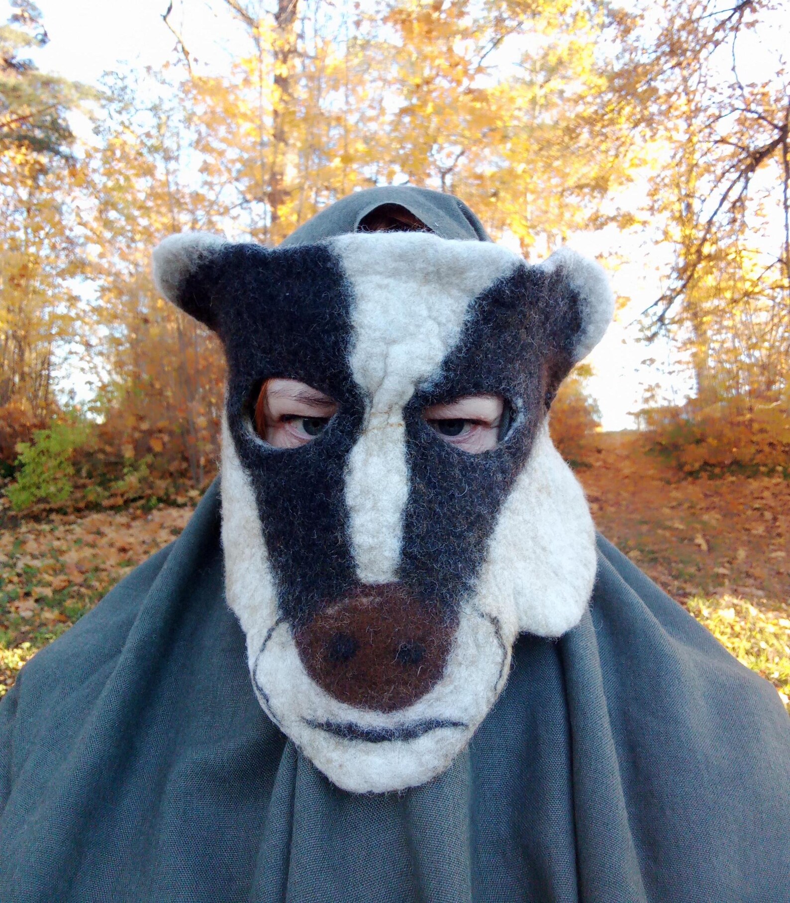 Luxury Felt Badger Mask for Adults Unisex.festival Headdress.carnival ...