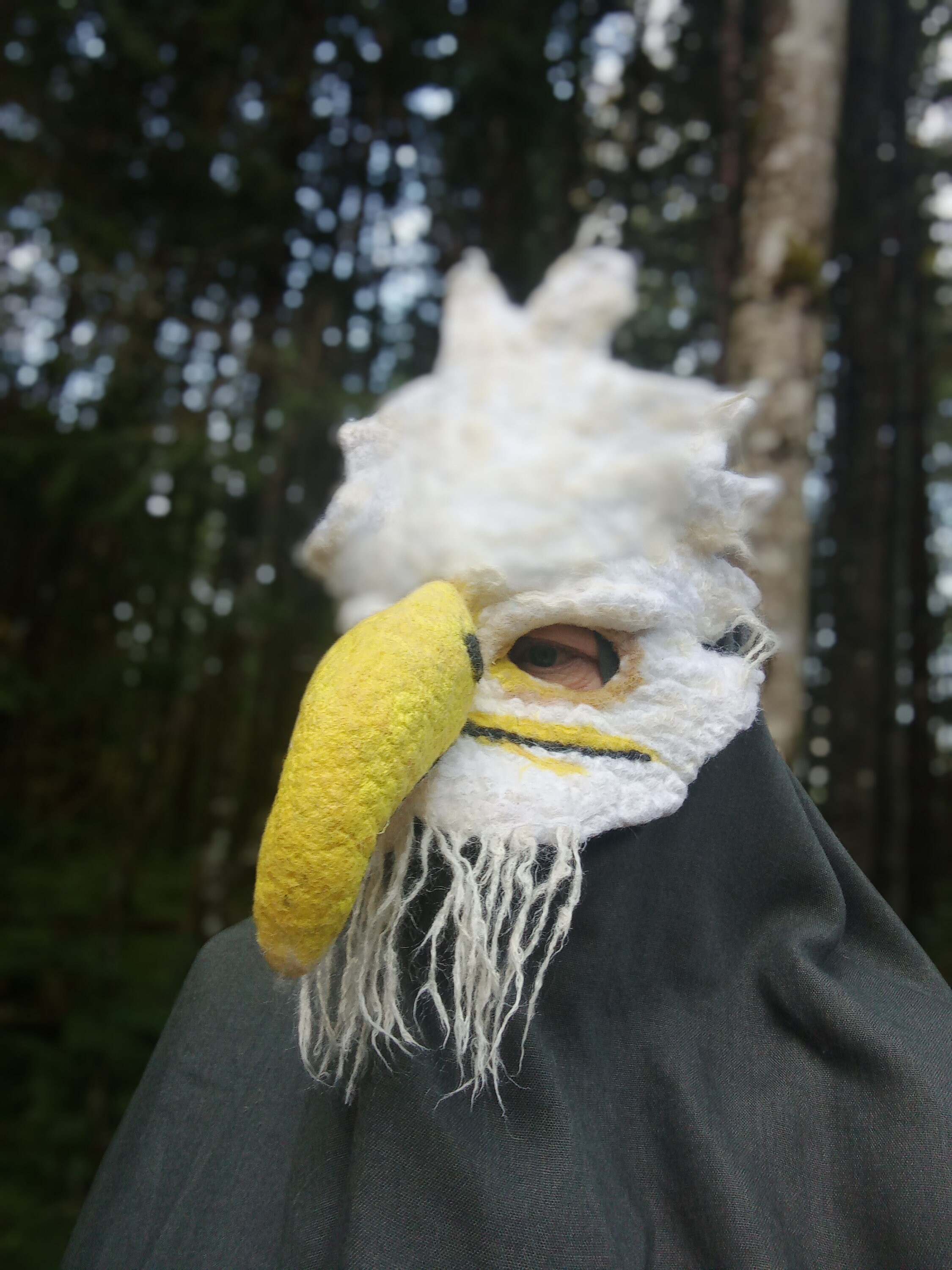 Luxury Felt Bald Eagle Mask for Adults.holiday - Etsy