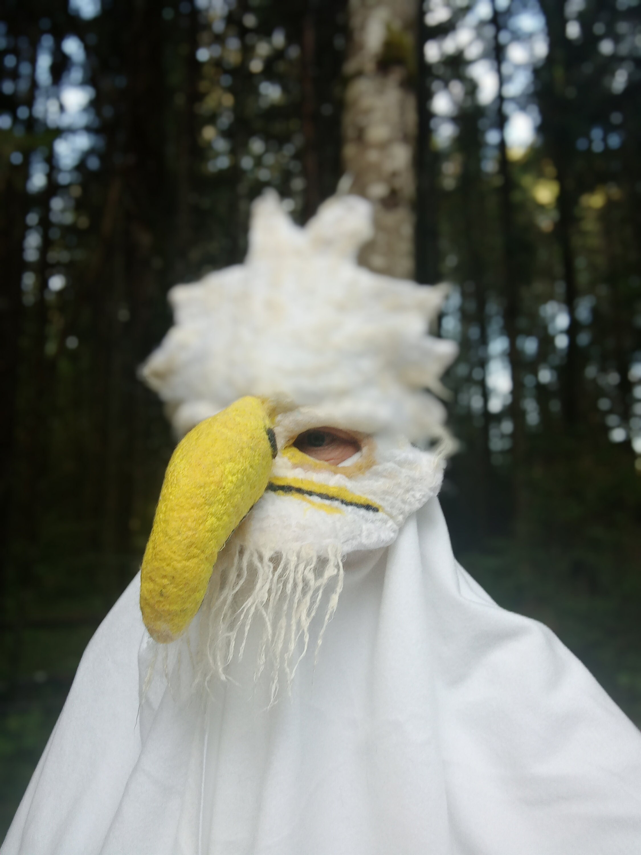 Luxury Felt Bald Eagle Mask for Adults.holiday - Etsy
