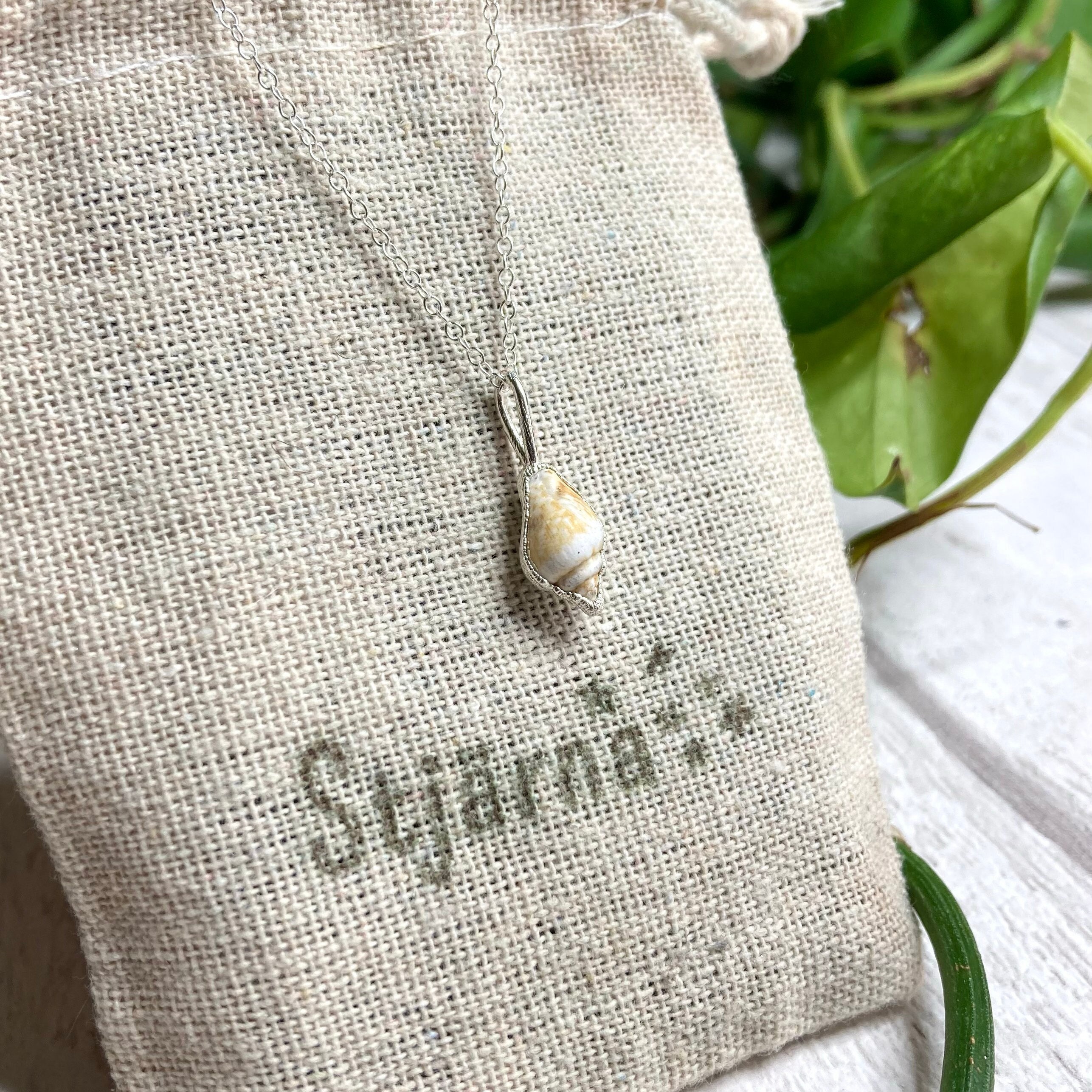 Tiny Shell Necklace | Real Shell Necklace | Shell Pendant | Silver ...