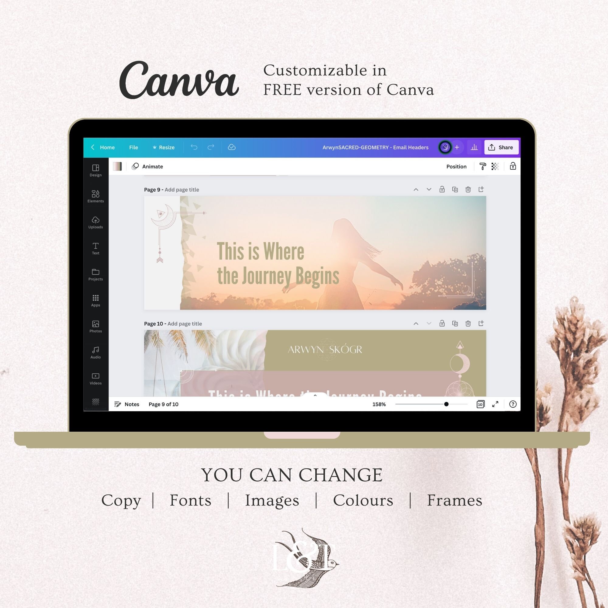 Canva Social Media Template Bundle for Coaches & Course Creators ...