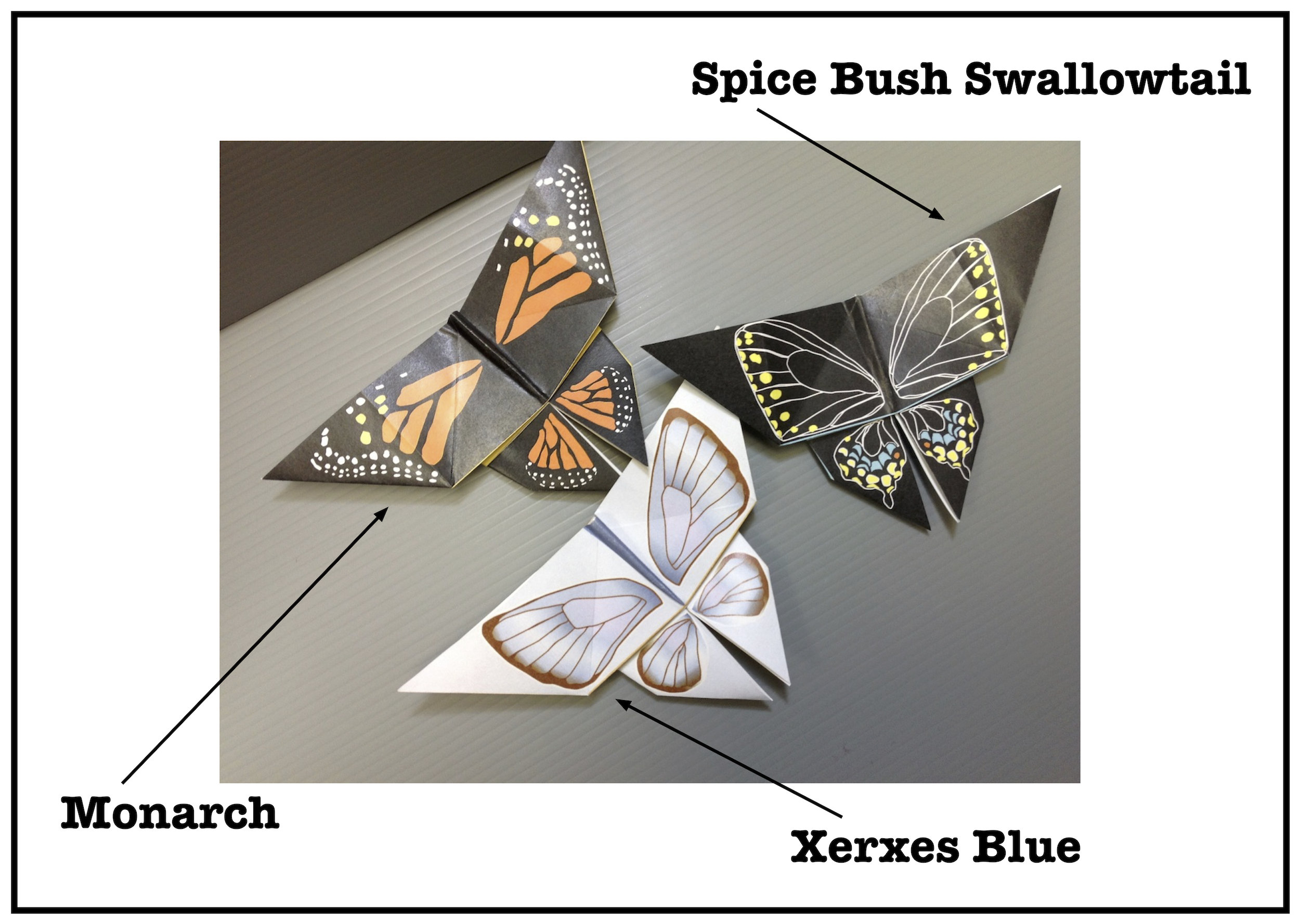 Origami Butterflies, Toy Origami, Printable, Digital Instant Download ...