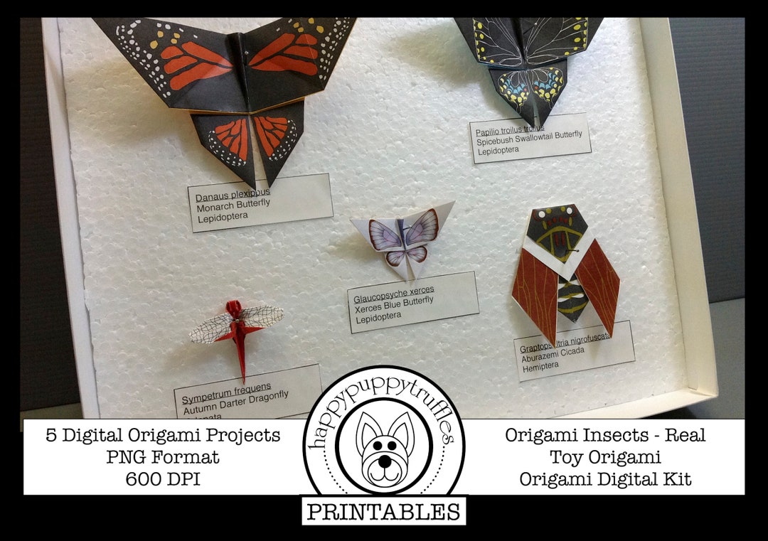 Origami Bug Collection, Toy Origami, Printable, Digital Instant ...