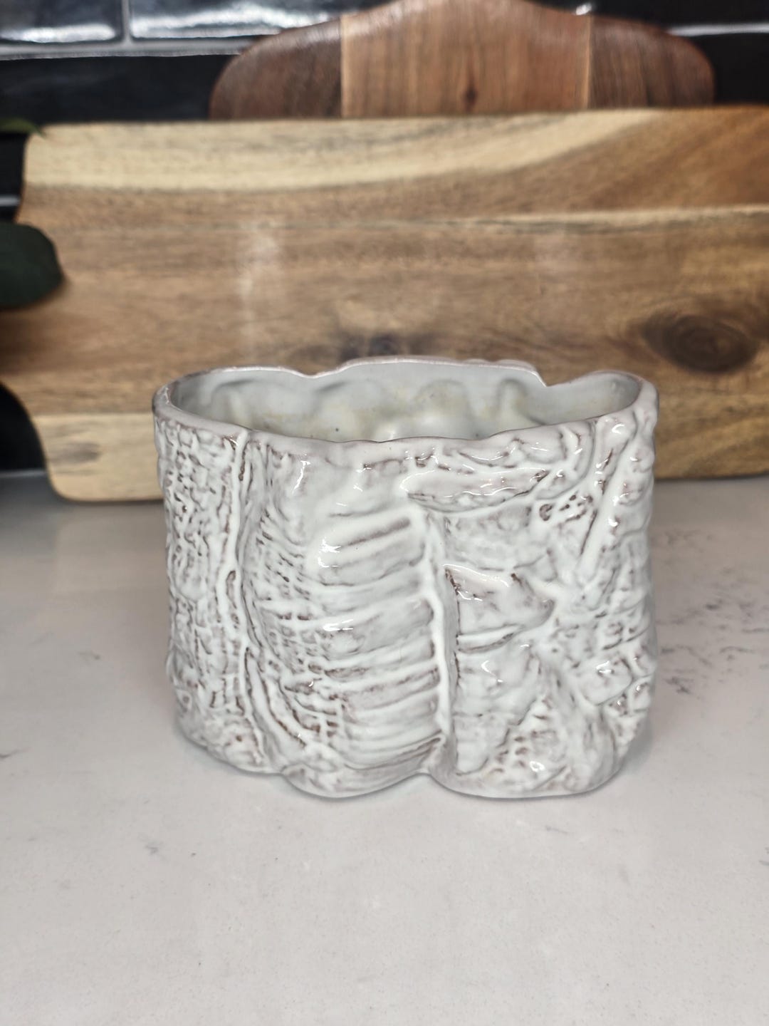 Frankoma White Glaze Tree Bark Vase Planter B3 Pottery - Etsy