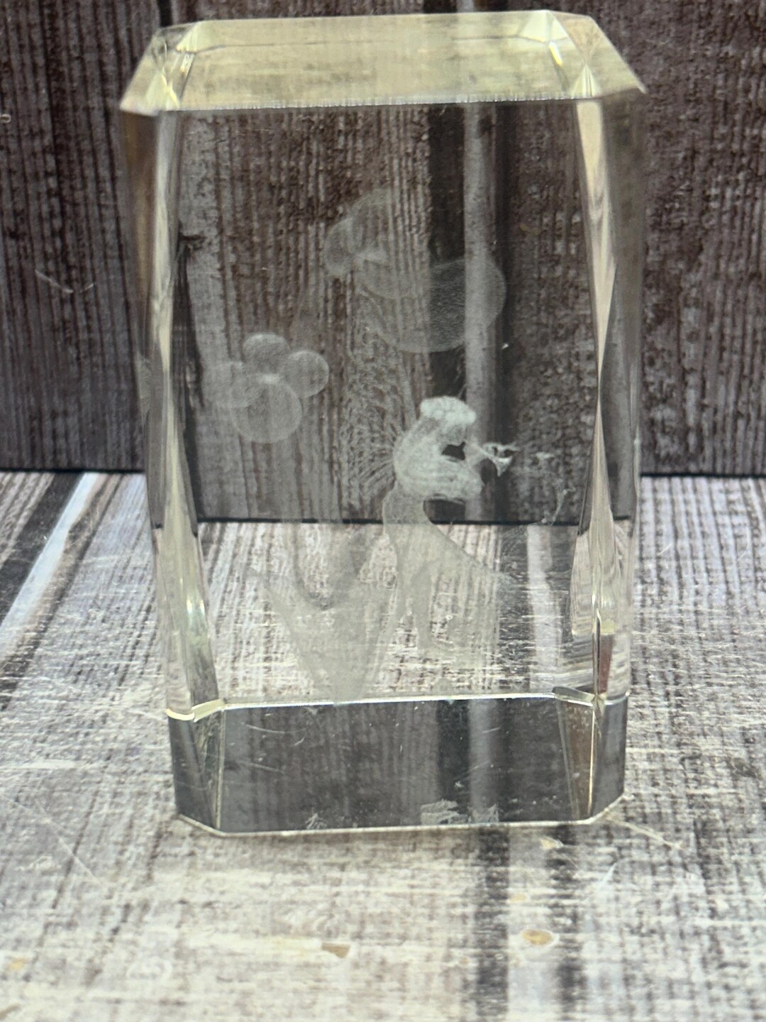 3D Laser Etched Glass Art Hologram Fairy Swinging From Flower - Etsy