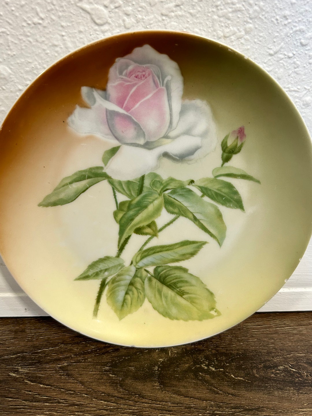 Hutschenreuther Selb Bavaria Roses Hand Painted Rose Plate - Etsy