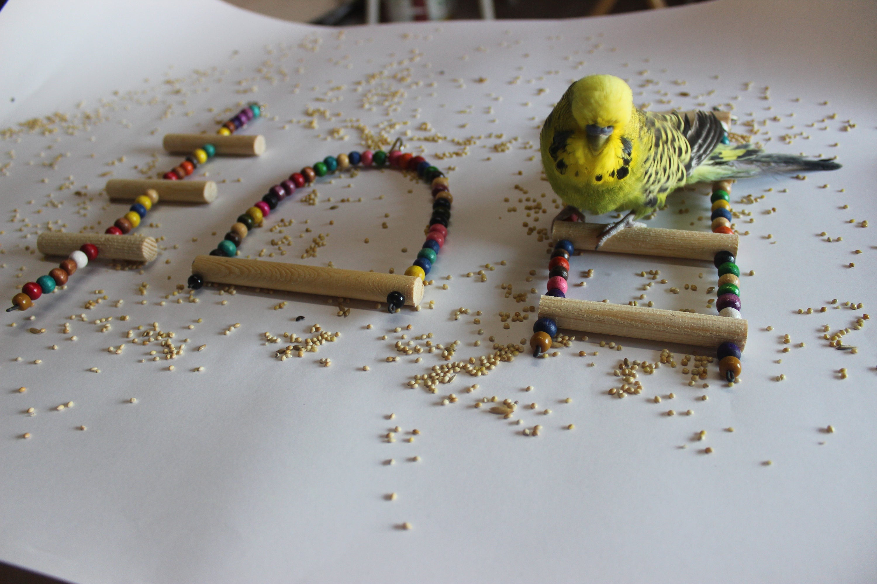 Bird Toys Bird Swing Naturel Bird Toy Handmade Bird Toys - Etsy