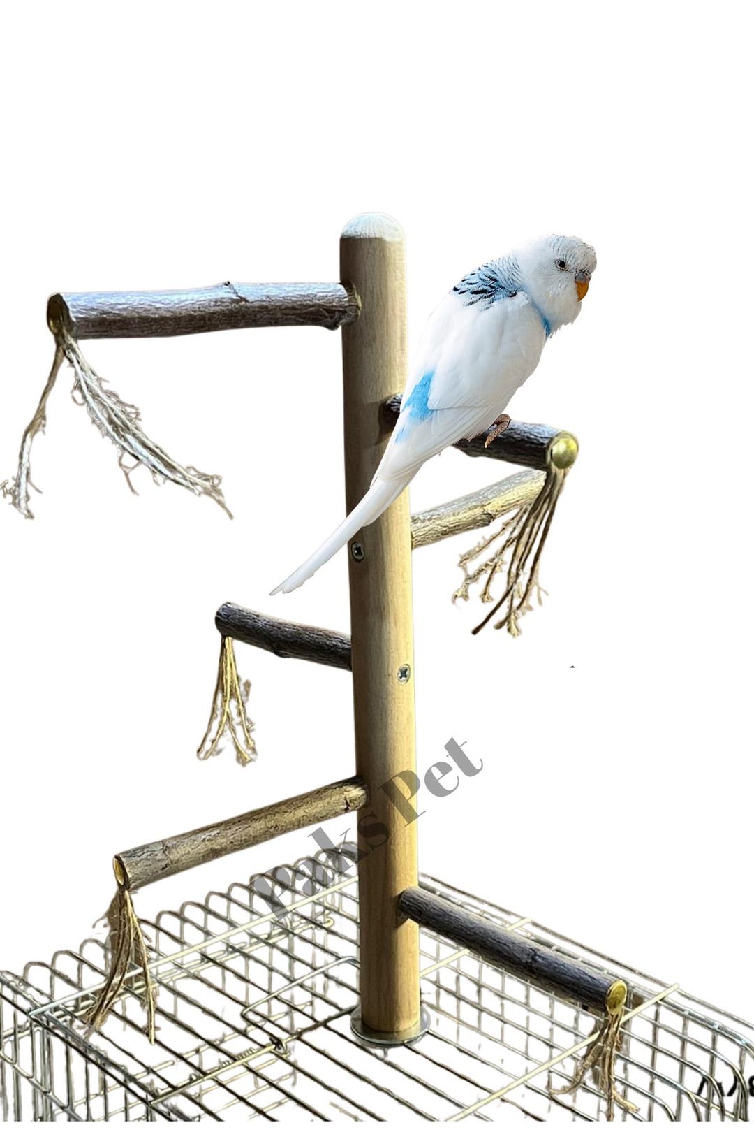 Natural Bird Perch for Cockatiels & Parakeets: Cage Top Parrot Stand - Etsy