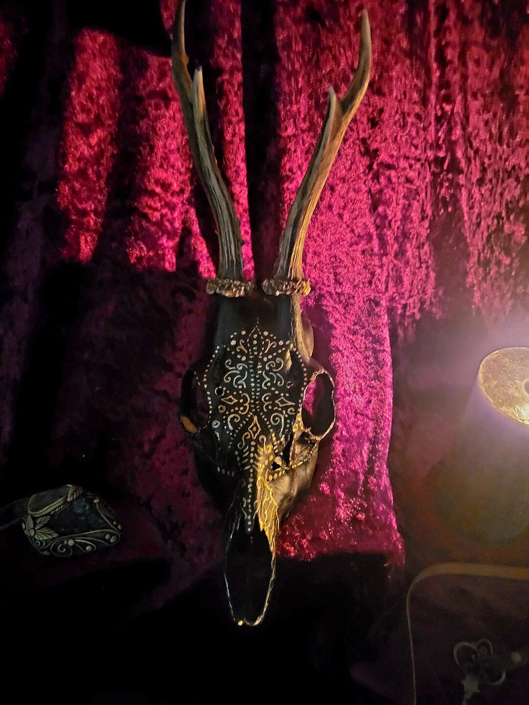 Real Wiccan Animal Skull Roebuck Hand-painted Unique - Etsy