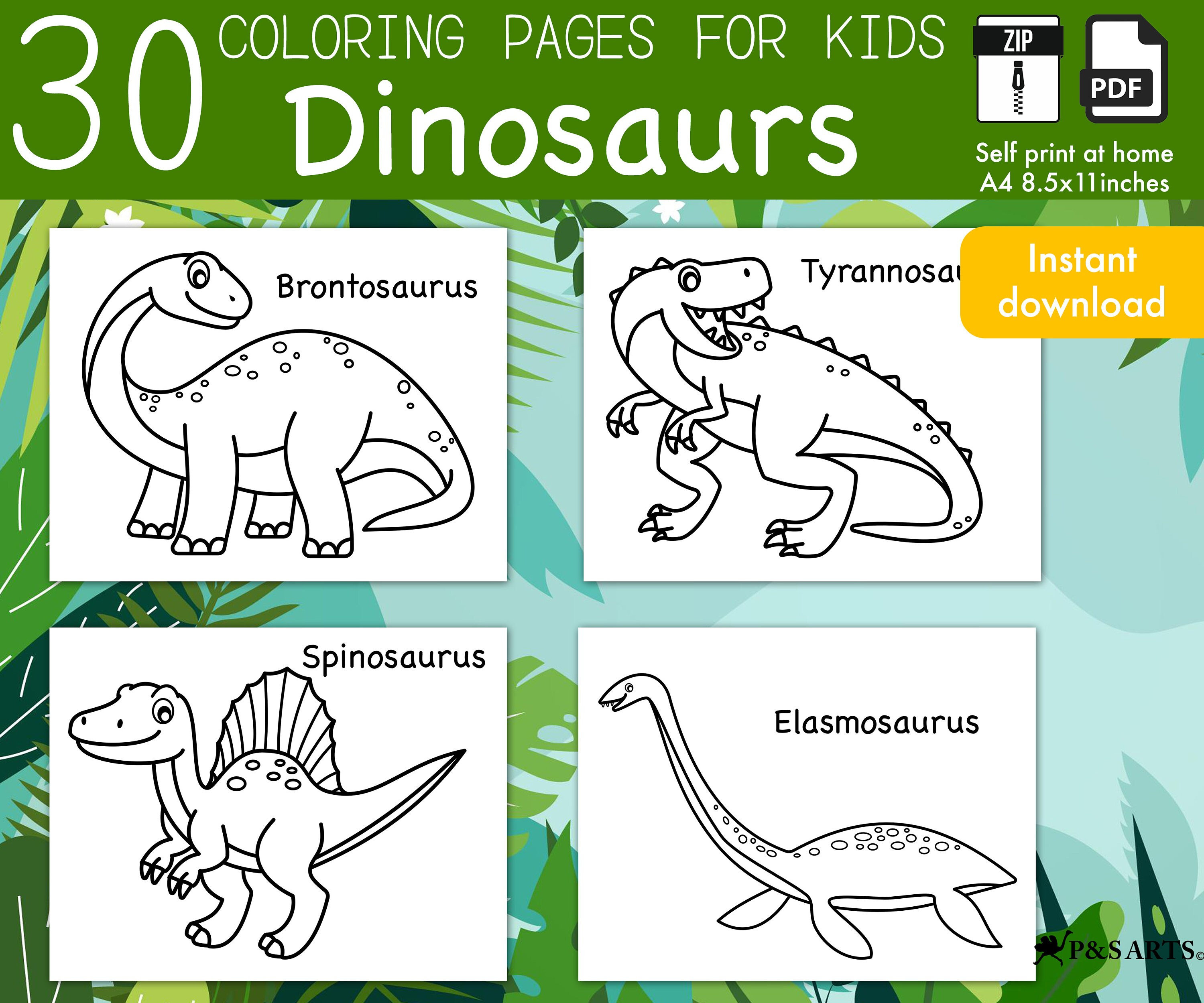 30 Dinosaurs Simple and Jumbo Printable Coloring Pages for Toddlers and ...