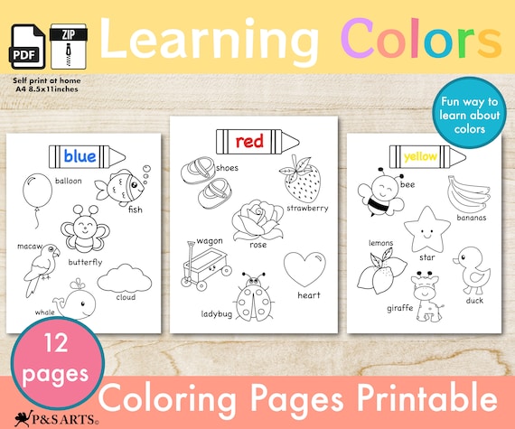Learning Colors Preschool Activities Kids Toddler Fine - Etsy