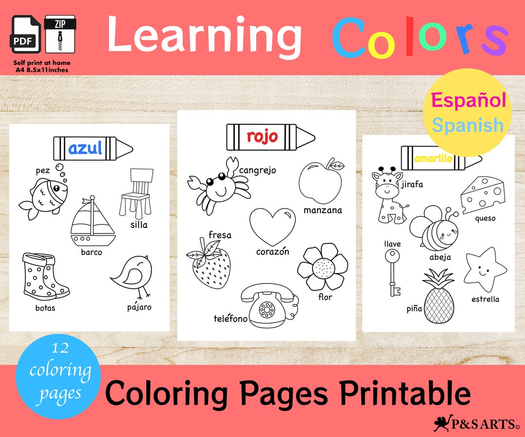 Learning Colors, Preschool Activities, Kids, Toddler, Fine Motors ...