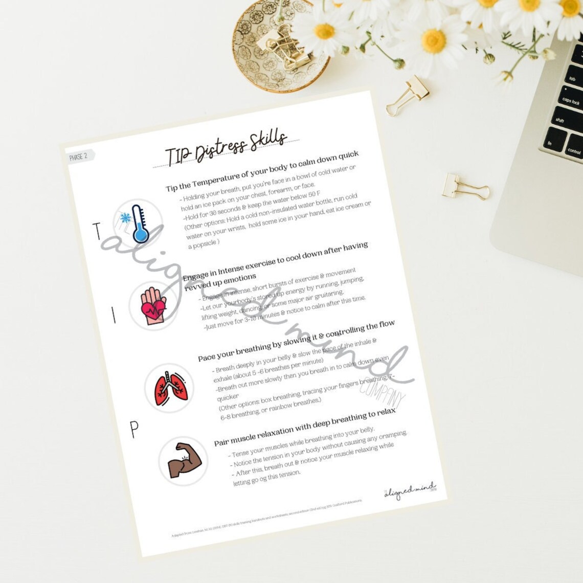 TIP Distress Skills DBT Distress Tolerance EMDR Preparation Skills - Etsy