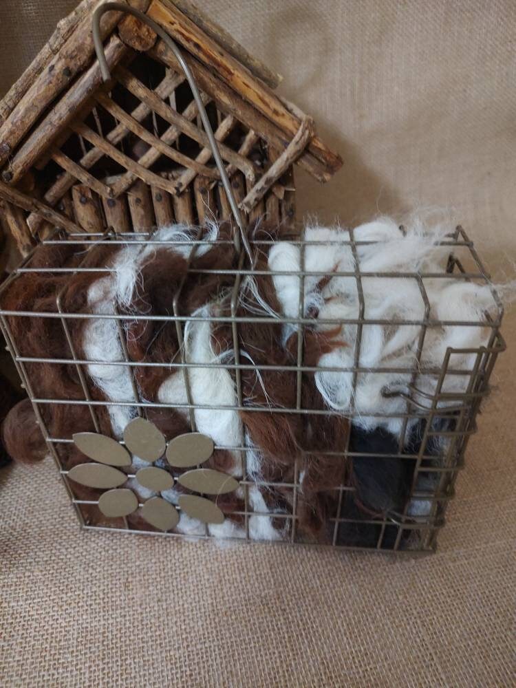 Bird Nesting Cage - Etsy