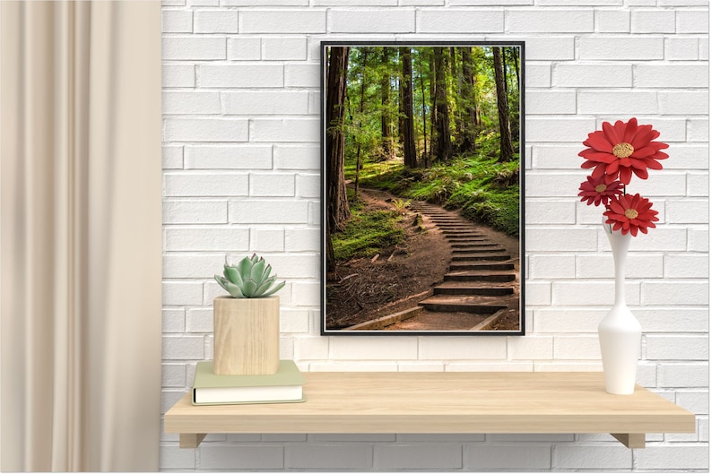 Muir Woods Forest Printable, Forest Pathway Download, Stairway Print ...