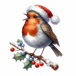 18 Watercolor Christmas Robin, Robin Bird Clipart, Christmas Bird ...
