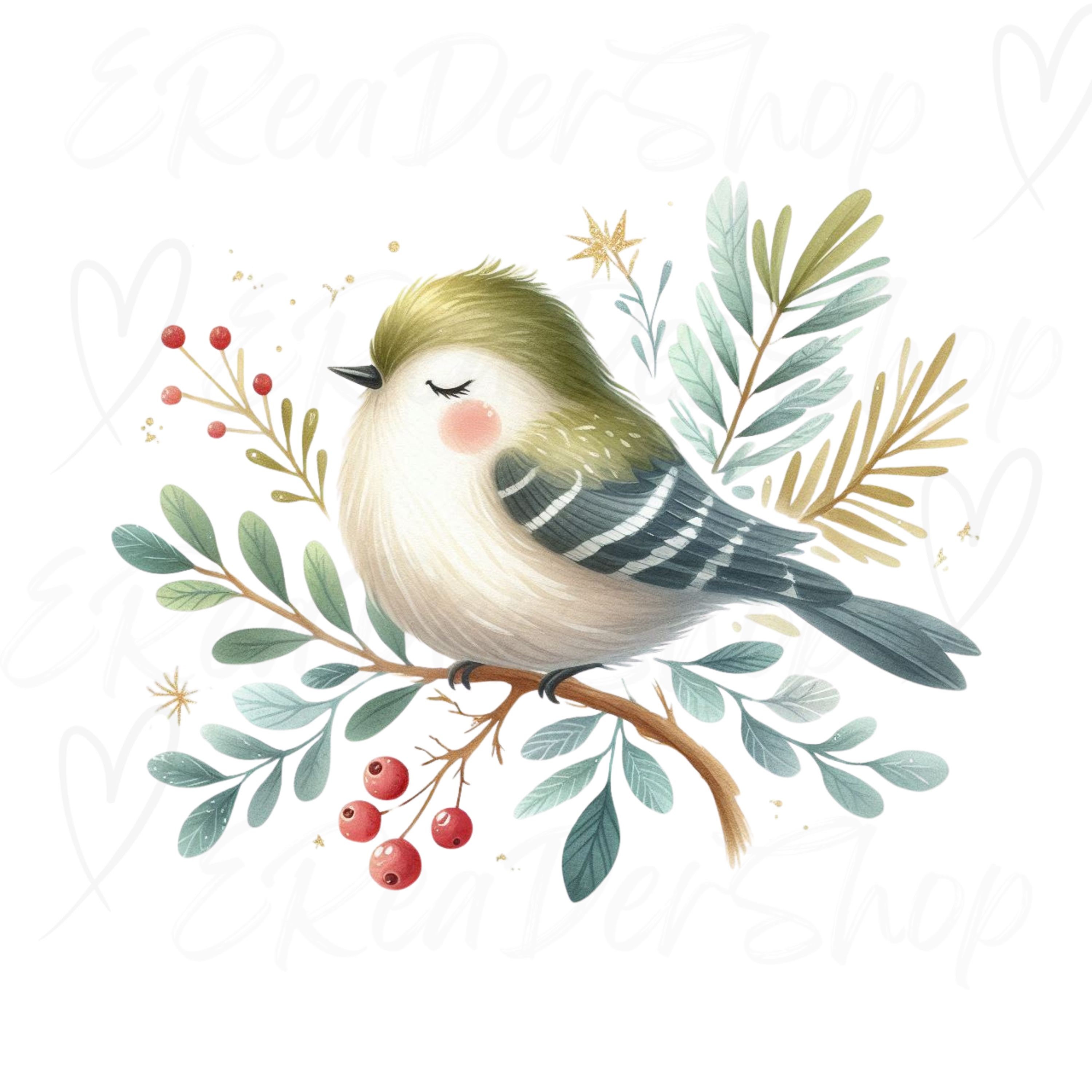 25 Watercolor Cute Christmas Bird Clipart, Cute Robin, Bird ...