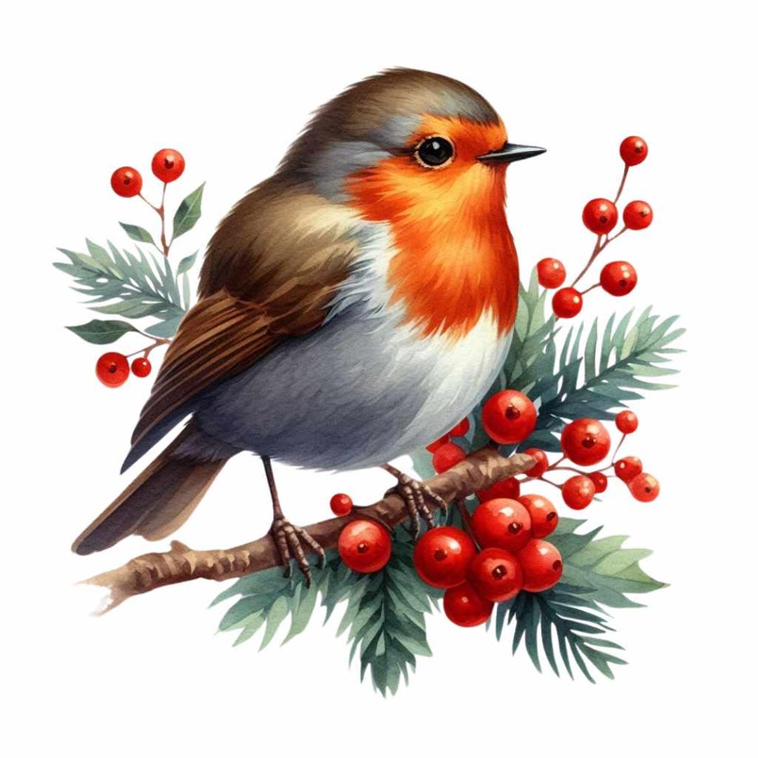 18 Watercolor Christmas Robin, Robin Bird Clipart, Christmas Bird ...