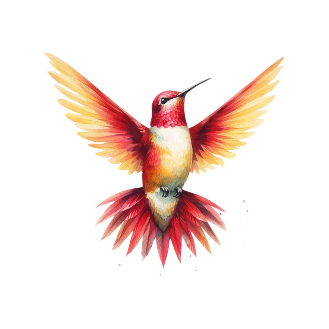 20 PNG Humming Bird Clipart, Birds Art, Humming Birds, Hummingbird ...