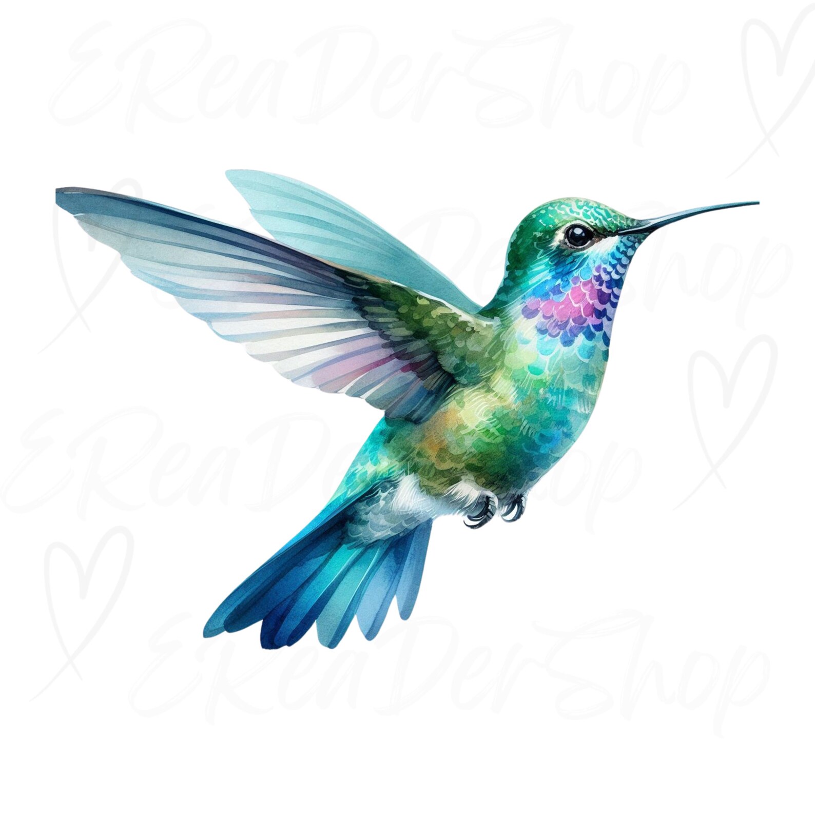 20 PNG Humming Bird Clipart, Birds Art, Humming Birds, Hummingbird Clipart Bundle, Birds Clipart ...