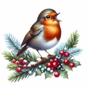 18 Watercolor Christmas Robin, Robin Bird Clipart, Christmas Bird ...