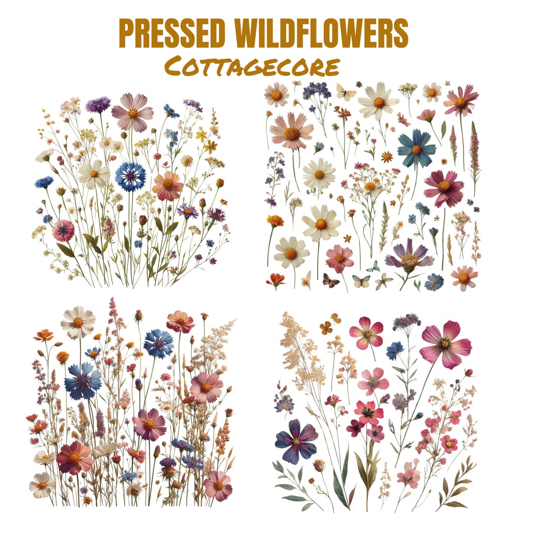 30 Pressed Wildflower Borders Clipart, Dry Flowers Digital Clipart ...
