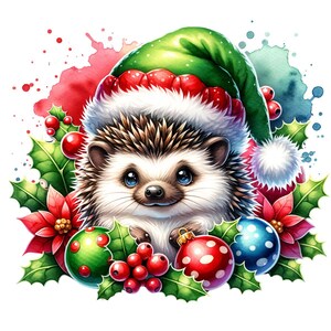 20 Cute Christmas Hedgehog Sublimation, Watercolor Christmas Clipart ...