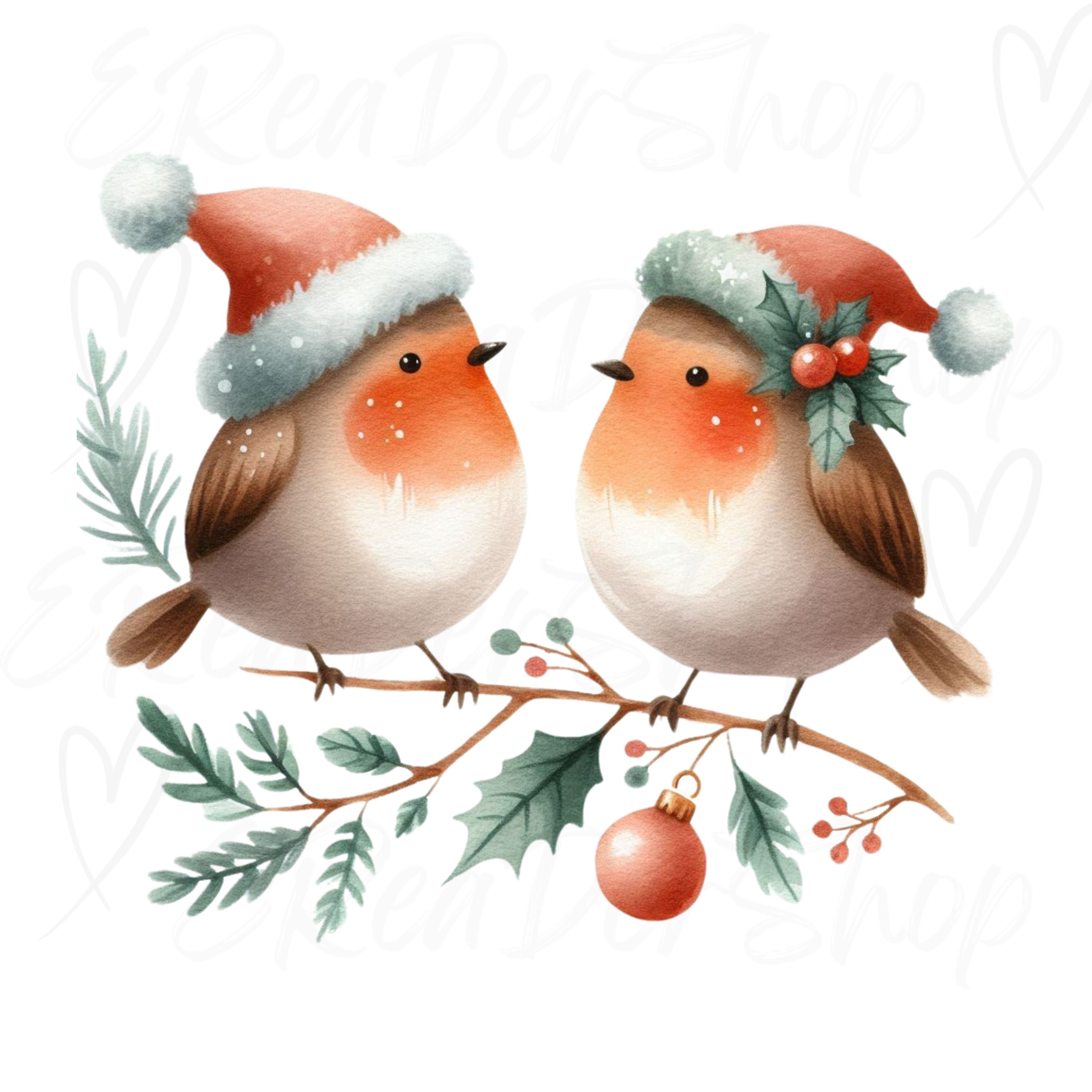 25 cliparts aquarelle mignon oiseau de Noël, rouge-gorge mignon ...