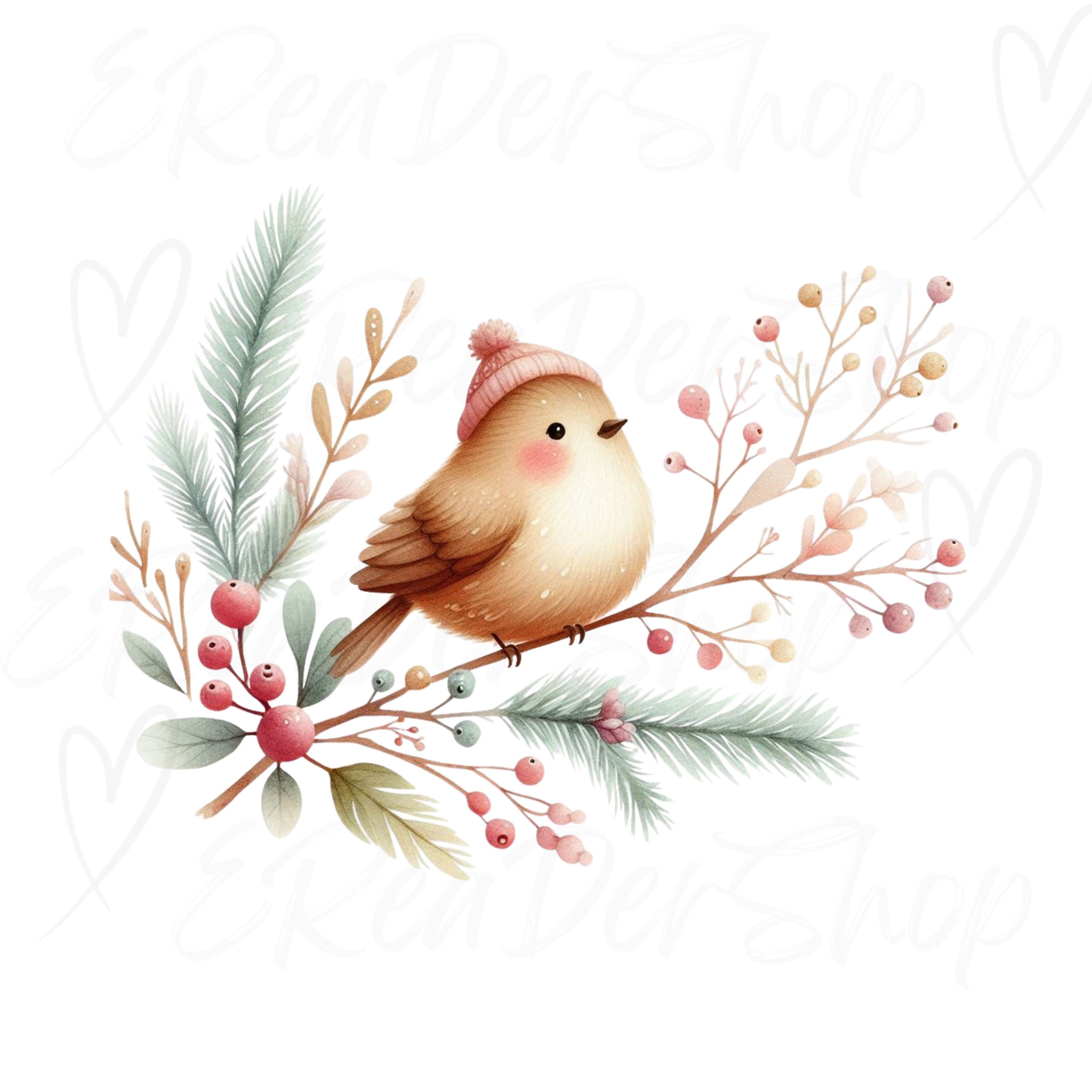 25 Watercolor Cute Christmas Bird Clipart, Cute Robin, Bird Illustration, Christmas Card Making ...