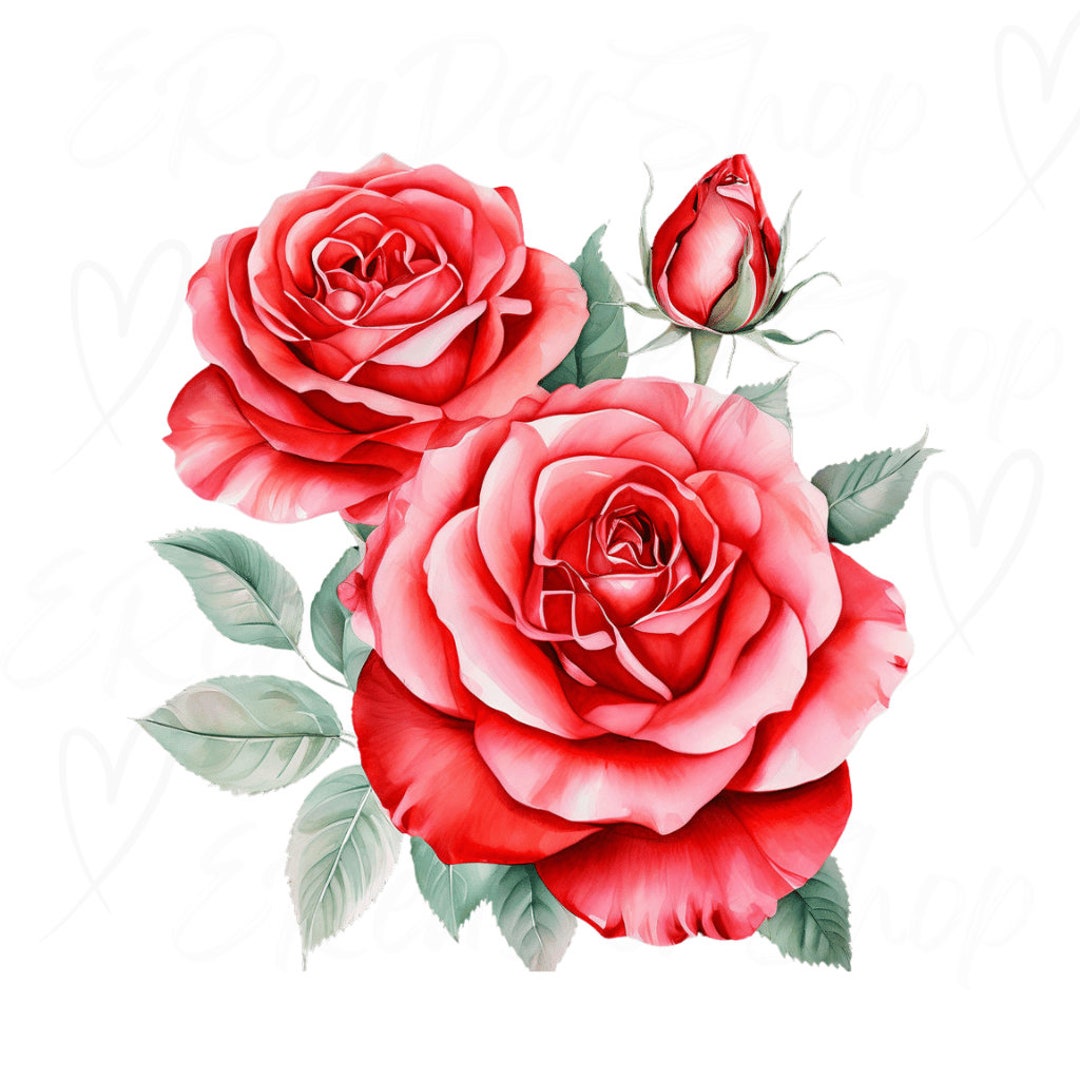 10 Pale Red Rose, Watercolor Rose Flower Clipart, Florals, Wedding ...