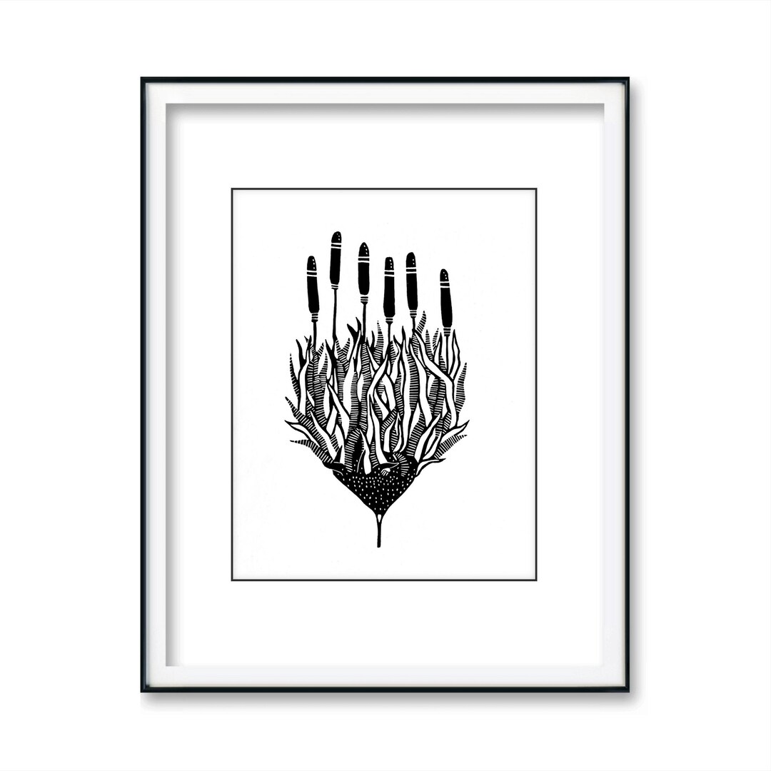 Cattail Black and White Wall Art - Small Minimalist Artwork Print - Etsy